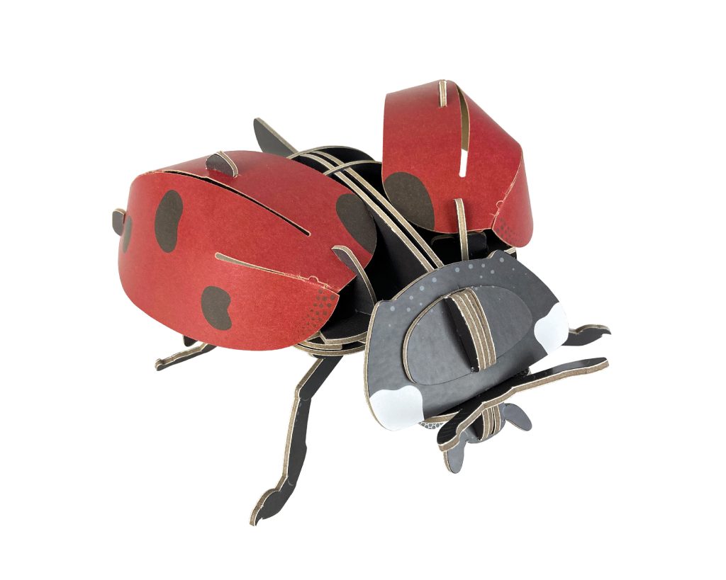 Marble Run – Build Your Own