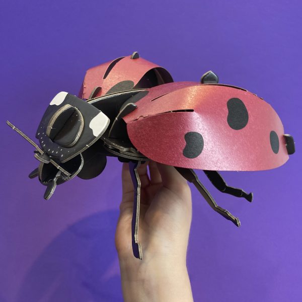 Ladybird - Build Your Own