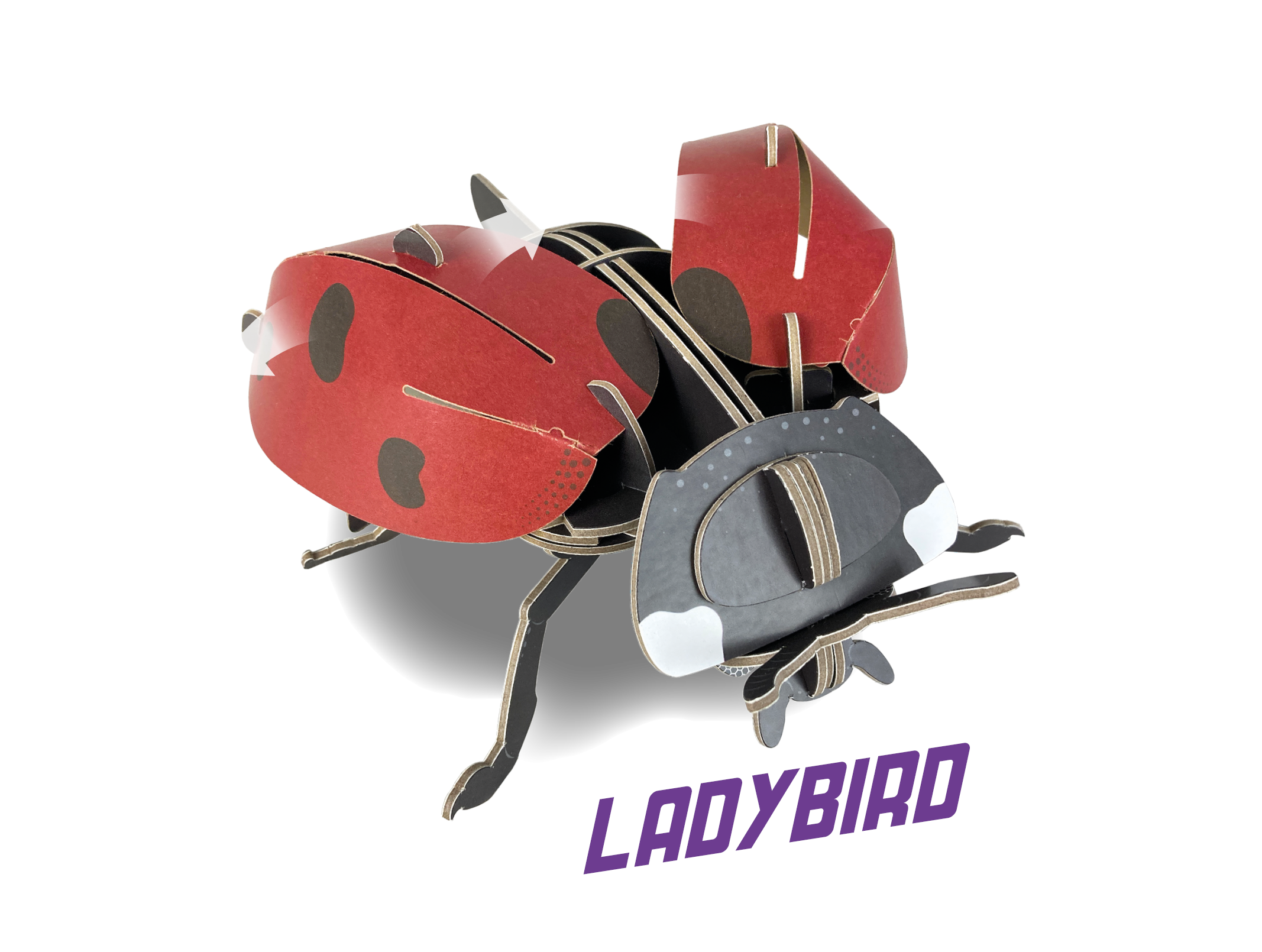 Home - Eco-friendly children’s toys - Build Your Own Kits